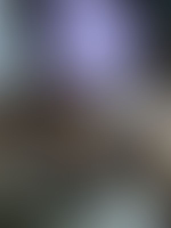 Galería de F.D.P.G | Cafecito