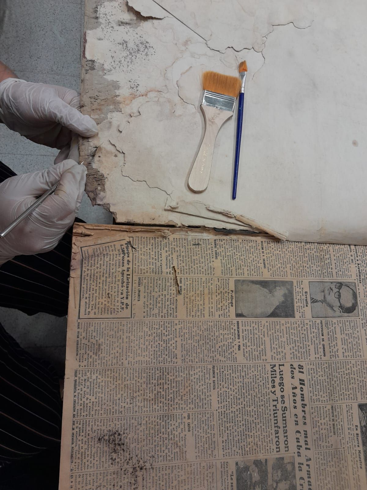 Galería de Proyecto Conservación Preventiva | Cafecito