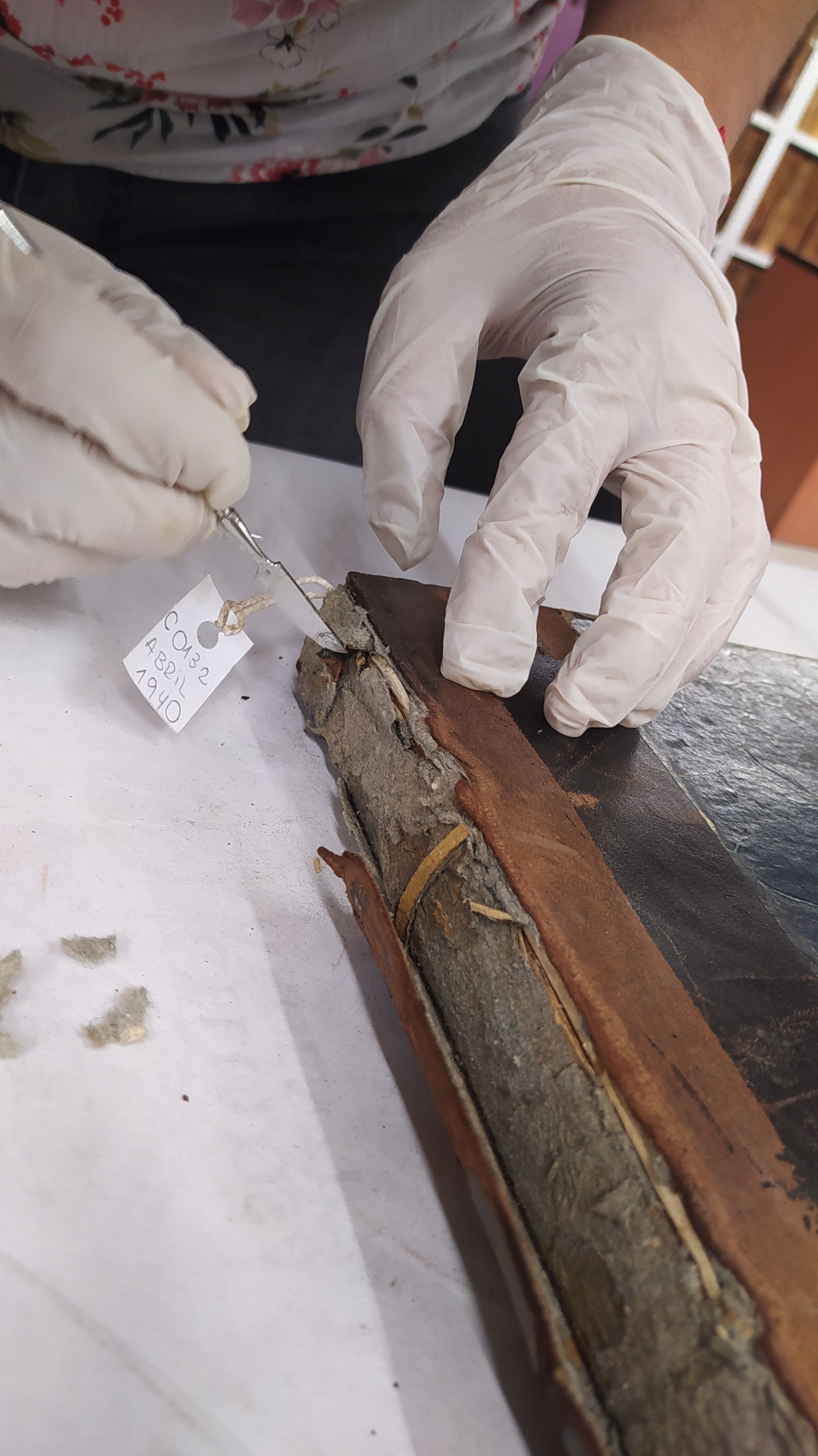 Galería de Proyecto Conservación Preventiva | Cafecito