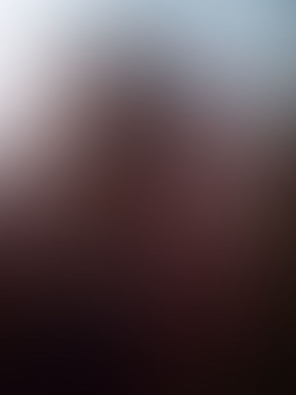 Galería de Lady Rosa | Cafecito