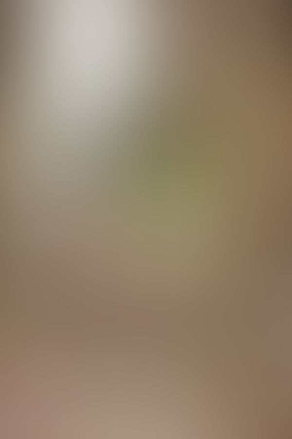 Galería de Nicol loveee | Cafecito