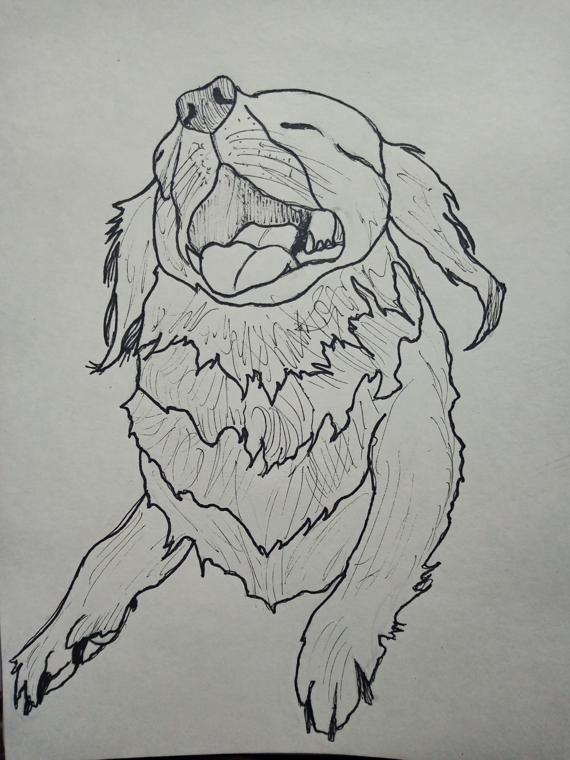 Publicaciones de Fedee Perrito | Cafecito