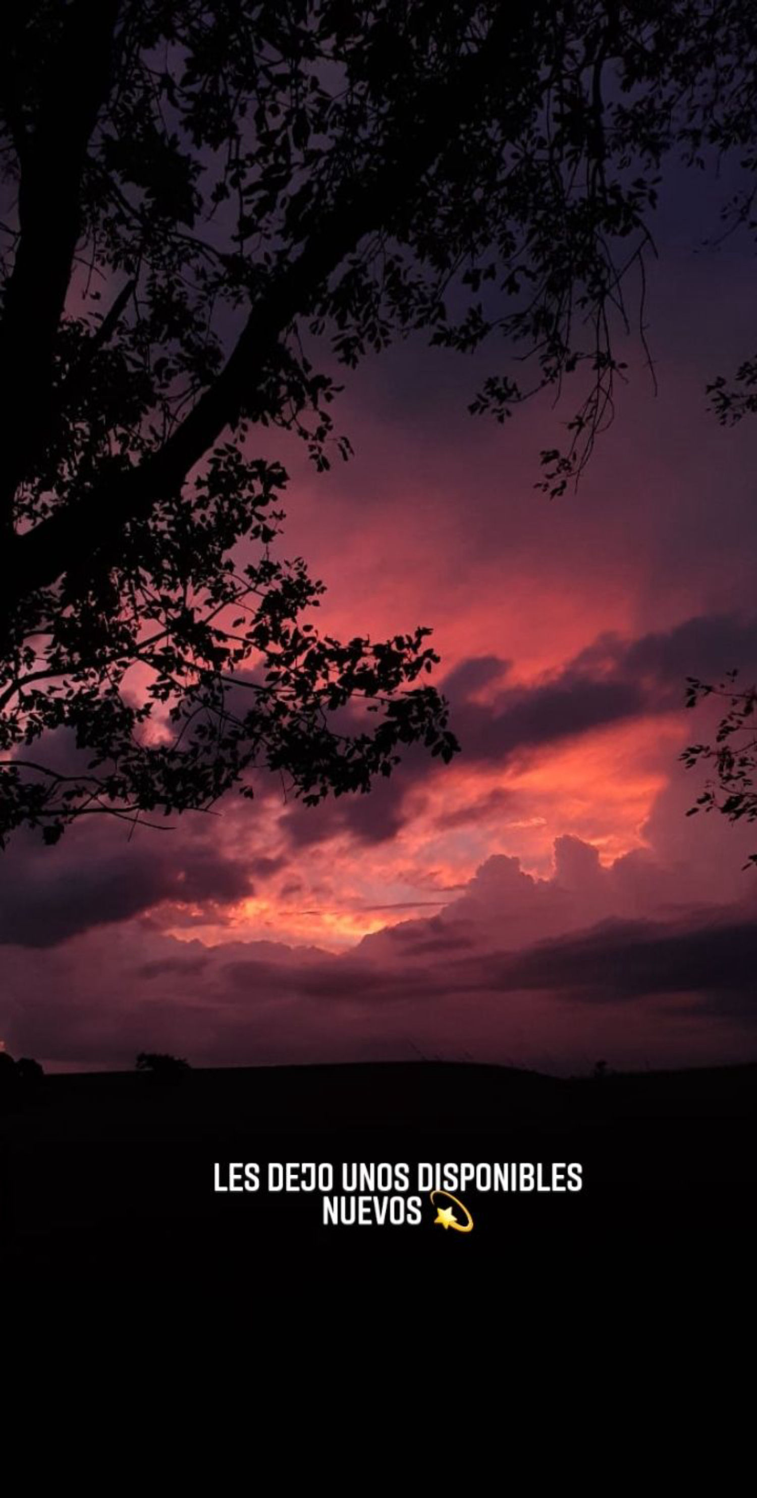 Planes de Proyecto Aurora 2021 | Cafecito