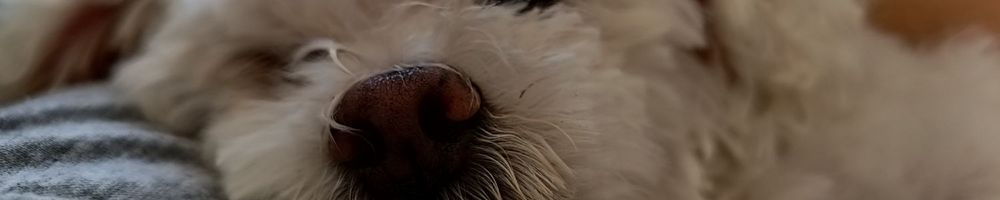 Operación Fluffy | Cafecito