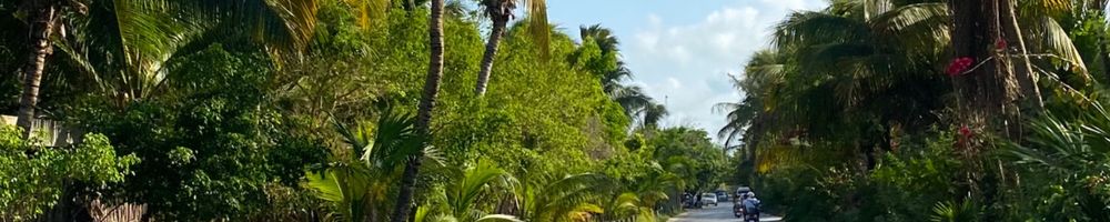 Planes de sol aguilera | Cafecito