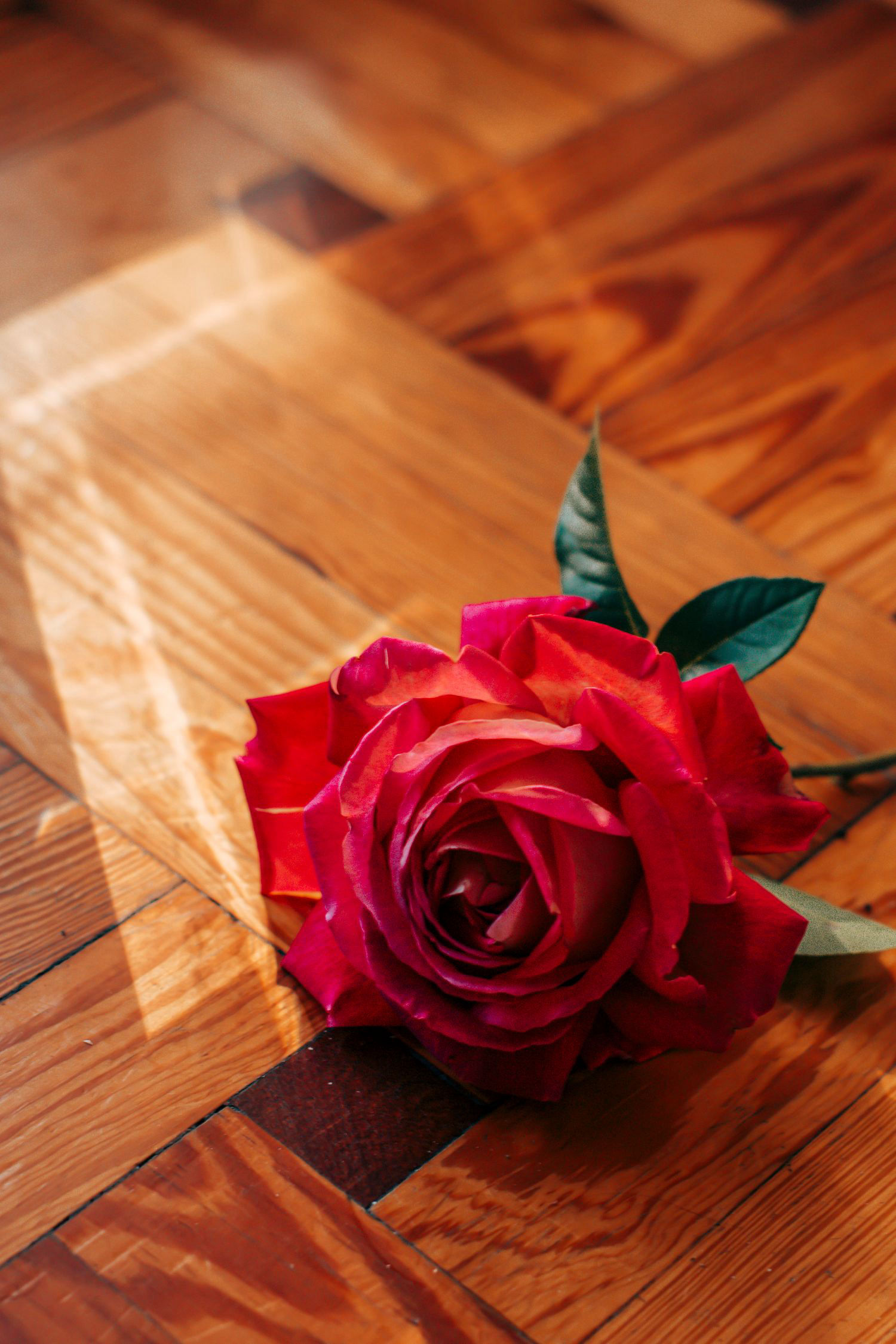 Roxy White | Cafecito